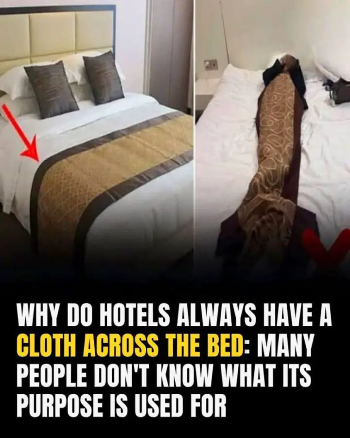 What’s the Purpose of the Fabric Strip Across Hotel Beds? - Savory Splash
