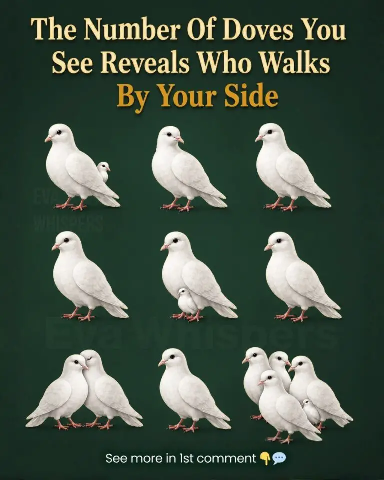 The Number of Doves You See First Reveals Who Walks Beside You - Savory ...