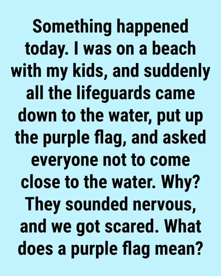 The Purple Flag at the Beach: What It Really Means (And Why You Should ...